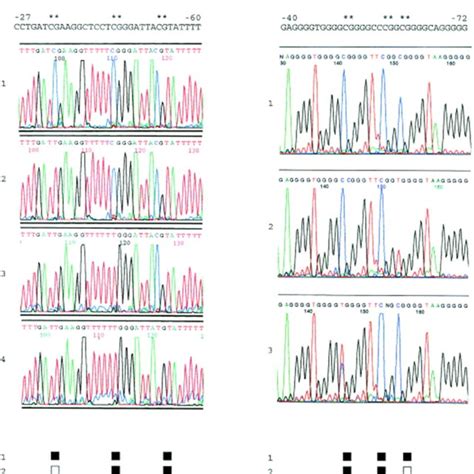 Primary Bisulfite Genomic Dna Sequencing Data Nuclear Dna From Clonal Download Scientific