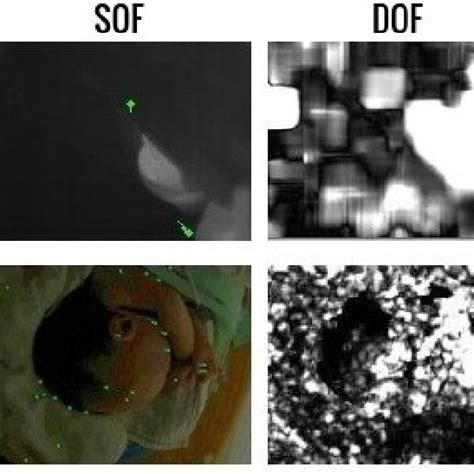 Sample Frames From Thermal Top Row And Rgb Bottom Row Datasets