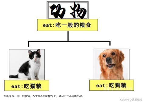 java 多态 csdn博客