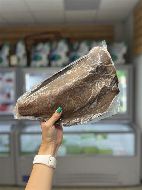 Juodasis Paltusas 2 3 26 Kg šaldytas Uab Žuvis