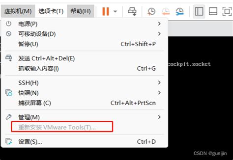 解决安装vmware tools灰色问题，解决重新安装vmware tools灰色问题 vmtools灰色的怎么安装 csdn博客