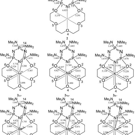Schematic Structures Including Some Relevant Structural Parameters Of