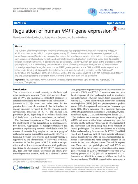 Pdf Regulation Of Human Mapt Gene Expression