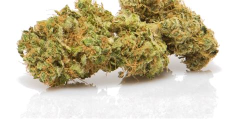 Dutch Treat The Indica Dominant Hybrid With A Sweet Pine Aroma Delta