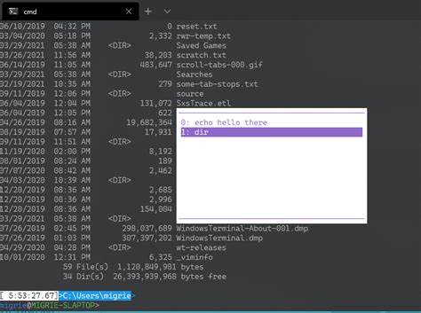 Prompt History · Issue 9645 · Microsoftterminal · Github