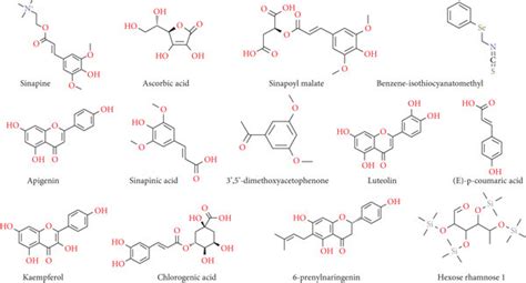 Chemical Structure Of Bioactive Compounds Present In L Sativum