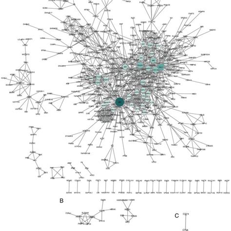 Ppi Network Of Identified Degs Constructed Using Cytoscape Software