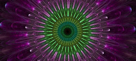 Euclidean To Fractal Geometry Of Nature Adamas University