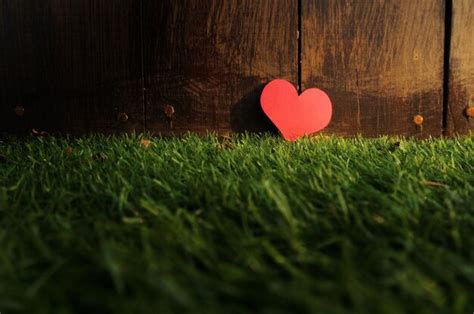 Premium Photo Close Up Of Heart Shape On Grass
