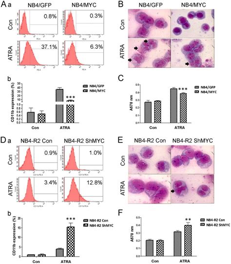 A D Cells Were Then Subjected To Flow Cytometry To Determine The Download Scientific Diagram