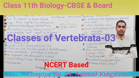 Classes Of Vertebrata Part 03 Class 11th Biology Youtube
