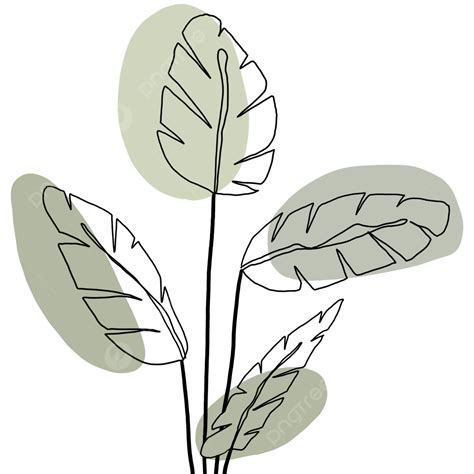 Aesthetic Line Art Png Image Abstract Leaf Line Art Aesthetics Leaf