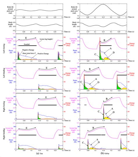 Simulation Data For The Quadruped Model Trotting Without Vestibular Download Scientific Diagram