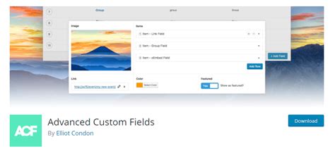 10 Best Woocommerce Custom Fields Plugins Free And Premium Learnwoo