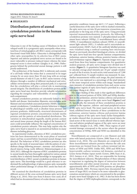 Pdf Distribution Pattern Of Axonal Cytoskeleton Proteins In The Human Optic Nerve Head