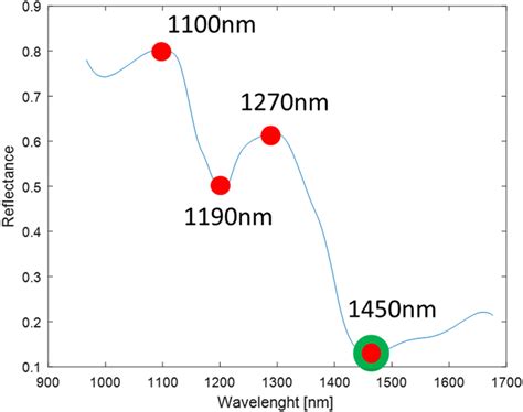Illustration Of The Spectral Data Selection Blue Curve Hyperspectral