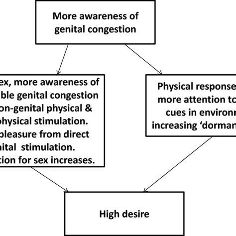 High Sexual Desire Might Lead To Increased Attention To Sexual Download Scientific Diagram