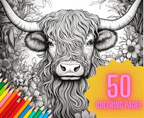 Highland Cow Coloring Pages For Adults Printable