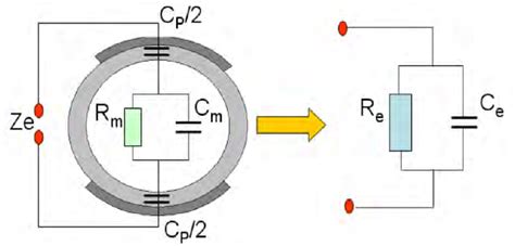 Impedance For Component Fraction Measurement Thorn Et Al 1997