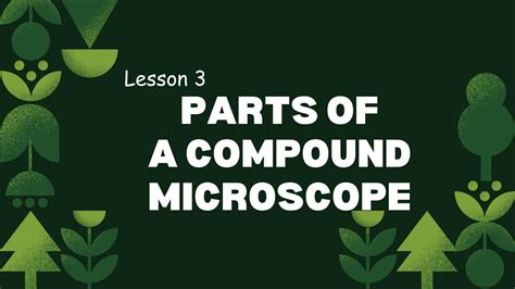 SOLUTION Compound Microscope Studypool