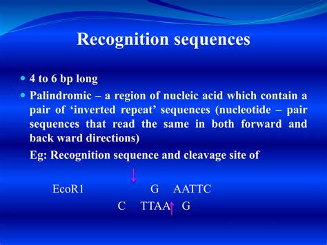 Restriction Endonucleases And Dna Ligases Smg Pptx