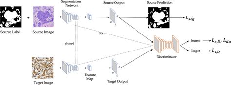 Network Structure Of Adversarial Learning For Domain Adaptation Download Scientific Diagram