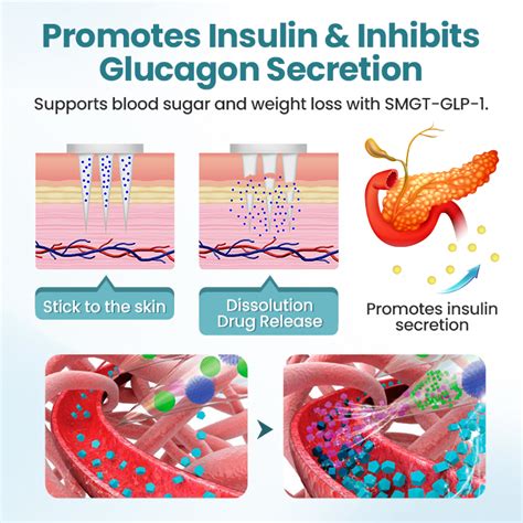 Biancat® Pureglp 1 Nano Microneedle Patch Biancat 3
