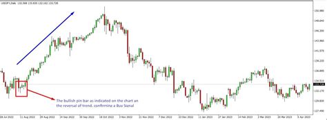 Bullish Pin Bar Candlestick Pattern The Forex Geek