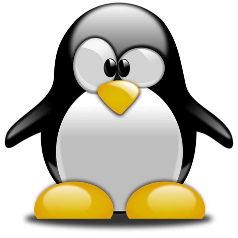 Tux Penguin Character Base Clipart Free Download Transparent PNG Creazilla
