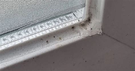 급하게 잡은 일정이었는데 세분이서 오셔서 꼼꼼하게 잘 진행해주셨어요 숨고 숨은고수