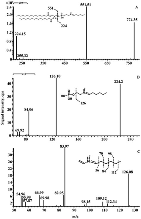 Positive Ion Mode Multistage Tandem Ms Spectra Of A Dppe‐hexanal Schiff