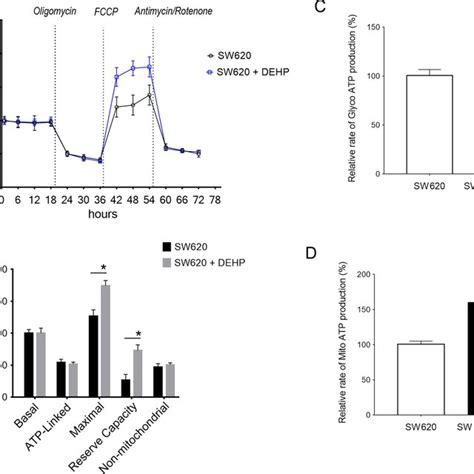 enhanced oxphos activity in dehp pretreated sw620 cells a ocr values