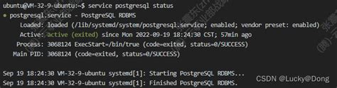 postgresql 修改数据存储位置后重启报错 重启服务报错 connections on unix domain socket “ var