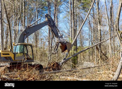 Worker Removing Trees From Forests Preparing Ground For Building House Using An Excavator