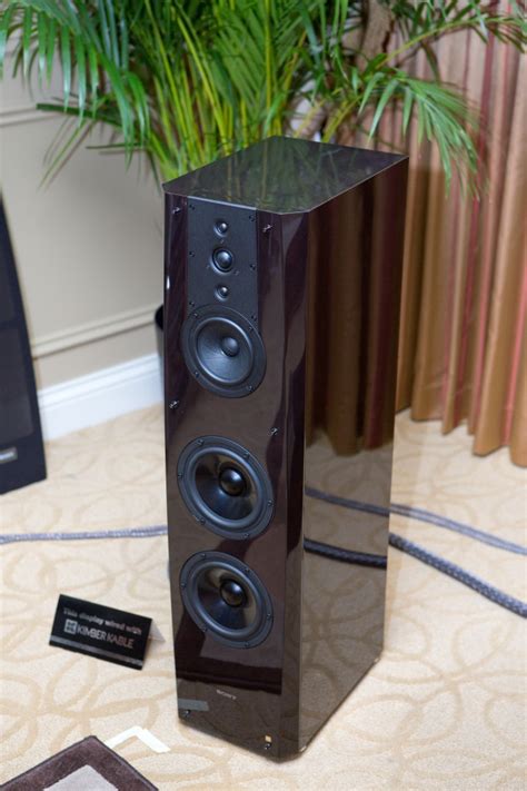 Sony Pass Labs And Dsd Audio At Ces 2013