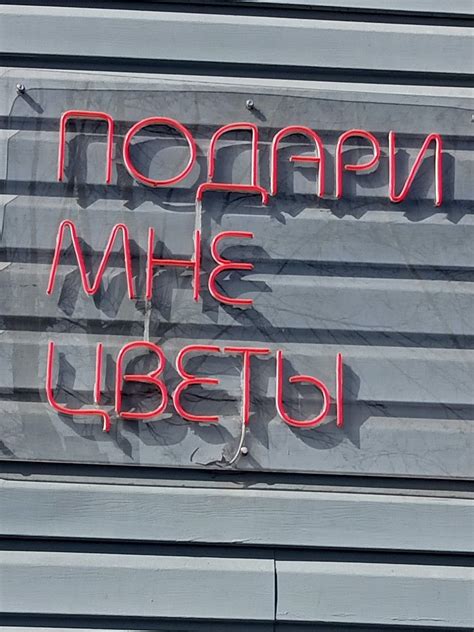 Подари мне цветы в 2023 г Цветные цитаты Надписи Живописные фотографии