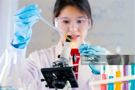 과학자는 장비 및 과학 실험 연구를 위한 화학 액체를 포함 하는 실험실 유리 그릇 또는 실험실에 있는 시험 관으로 표본을 분석 합니다 Stem 주제에 대한 스톡 사진 및