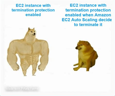 ec2 instance termination protection r aws memes