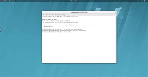 Ansys Fluent PACE Cluster Documentation
