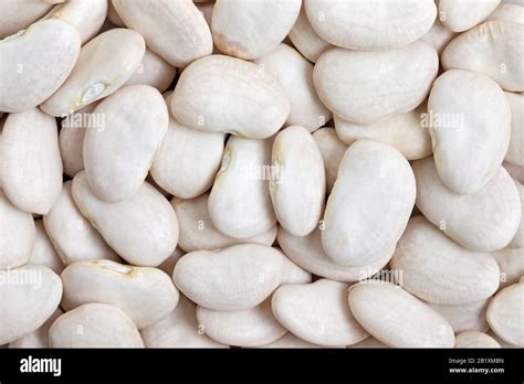 Lima Bean Texture Background Large Beans With A Buttery Flavor And