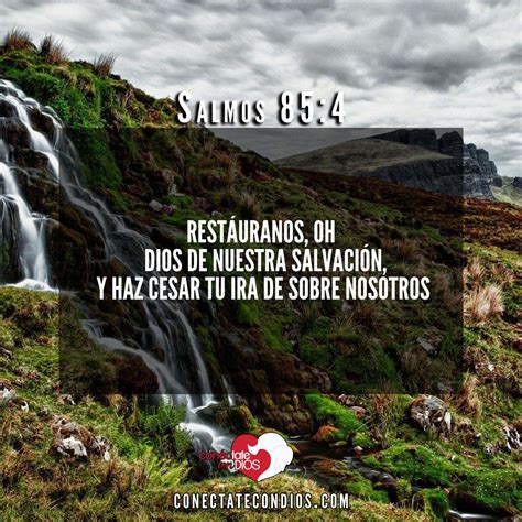 Los 7 Mejores Versículos De Restauración Conéctate Con Dios