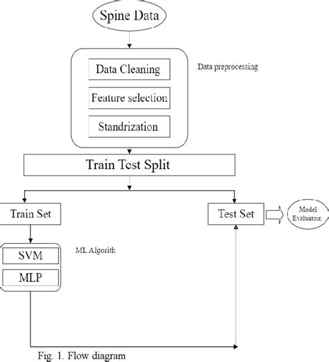 Figure 1 From Diagnosing Spinal Abnormalities Using Machine Learning A Data Driven Approach