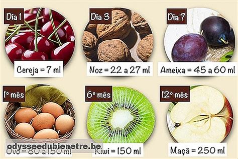 Tamaño Del Estómago Del Bebé Esodysseedubienetrebe