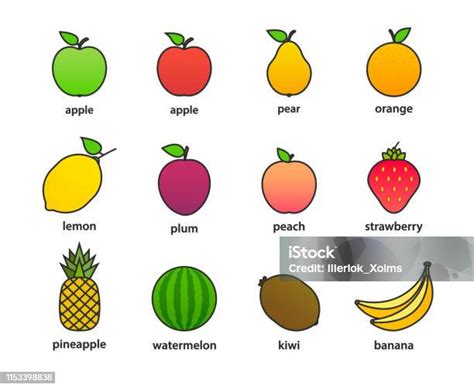 과일과 열매의 큰 세트 여름 과일입니다 사과 배 딸기 오렌지 복숭아 매 화 바나나 박 파인애플 키 위 레몬 과일 벡터 컬렉션입니다 벡터 일러스트입니다 건강한 식생활에 대한
