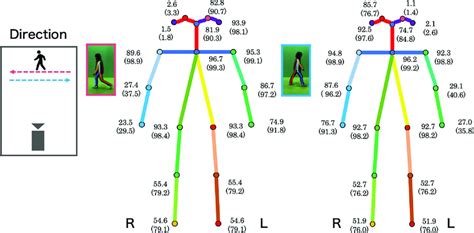 Estimated Accuracy For Each Part With Openpose The Accuracy Based On Download Scientific