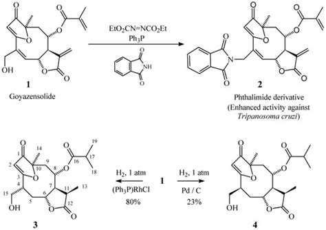 Reduction And Preparation Of A Phthalimide Derivative From A Furo
