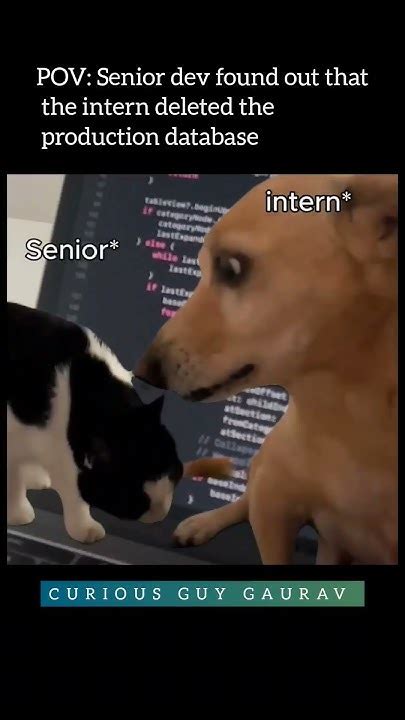 🥲😂💀 Programminglife Coderlife Developerlife Codinglife Computerscience Codelife Youtube