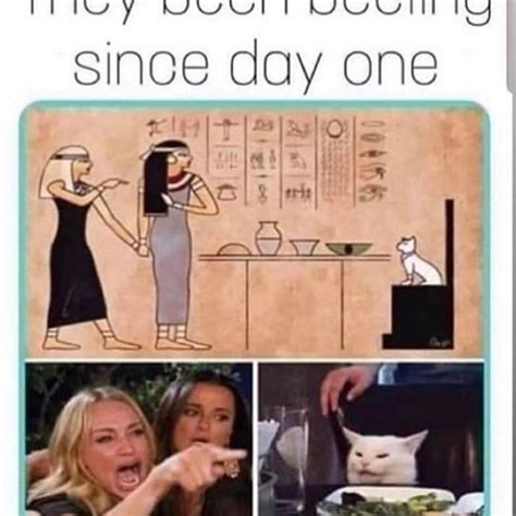 The Funniest Woman Yelling At Cat Memes Woman Yelling At Cat Template