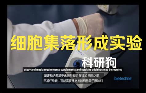 Imagej 细胞集落克隆形成计数