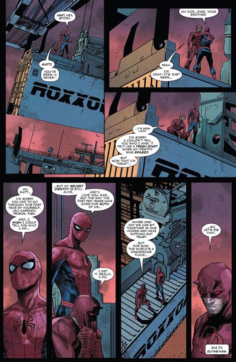 What Do Yall Think About This Interaction Between Daredevil And Spidey